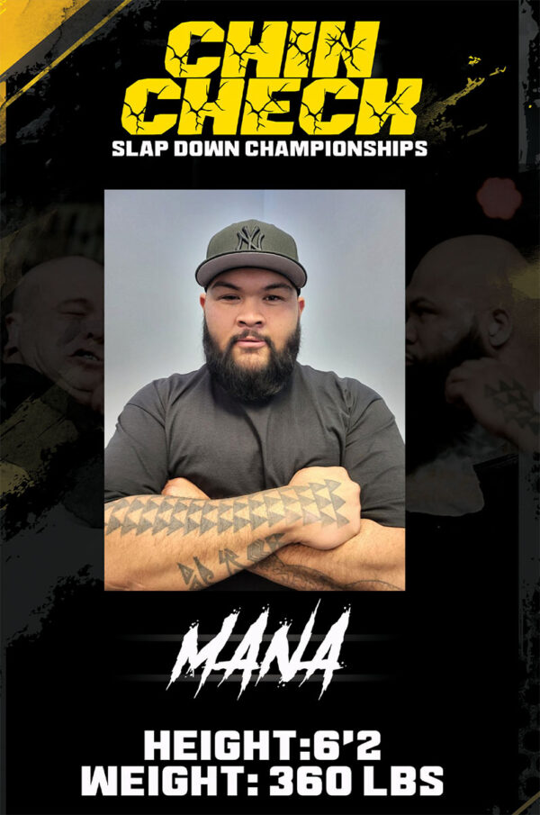 Chin Check Slap Down Fighters - Slap Fight Champions | Chin Check Slap ...